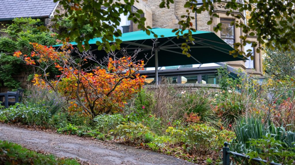 Joni Botanical Gardens | Coffee & Brunch, Sheffield